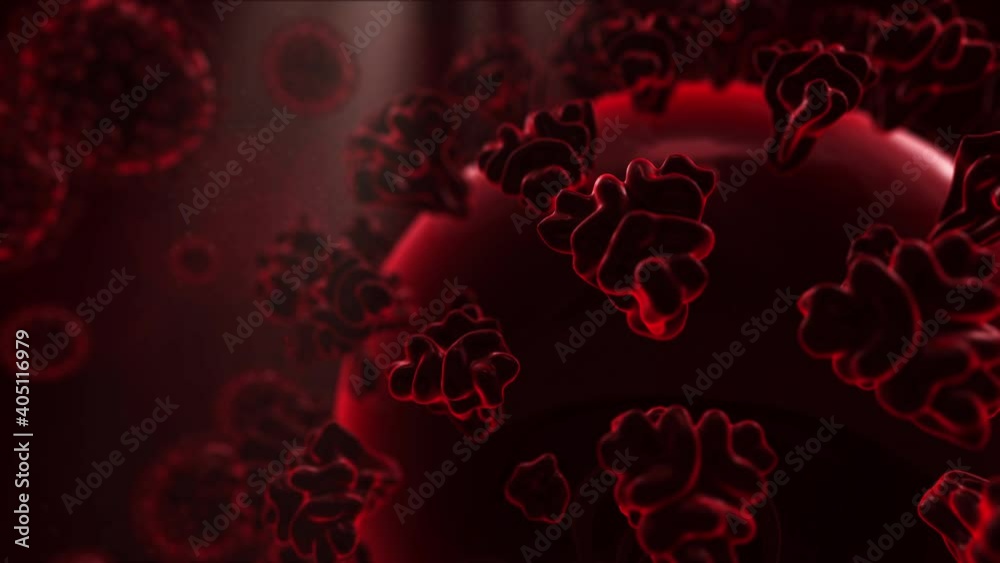 Covid-19 virus at the microscopic level swirling around inside a blood ...
