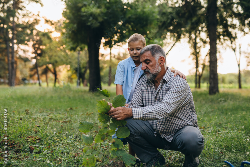 grandfather and grandson enjoying time in public park, planting a plant Stock Photo | Adobe Stock