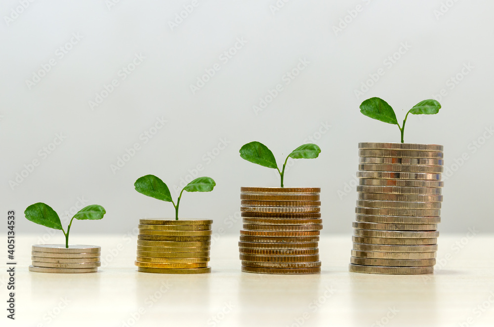 Business concept of financial growth and coin savings. Future ...