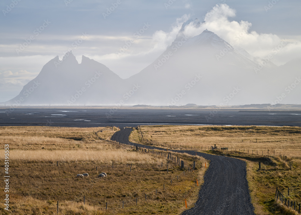 Gravel road through pature, sheep grasing, mountains Brunnhorn and ...