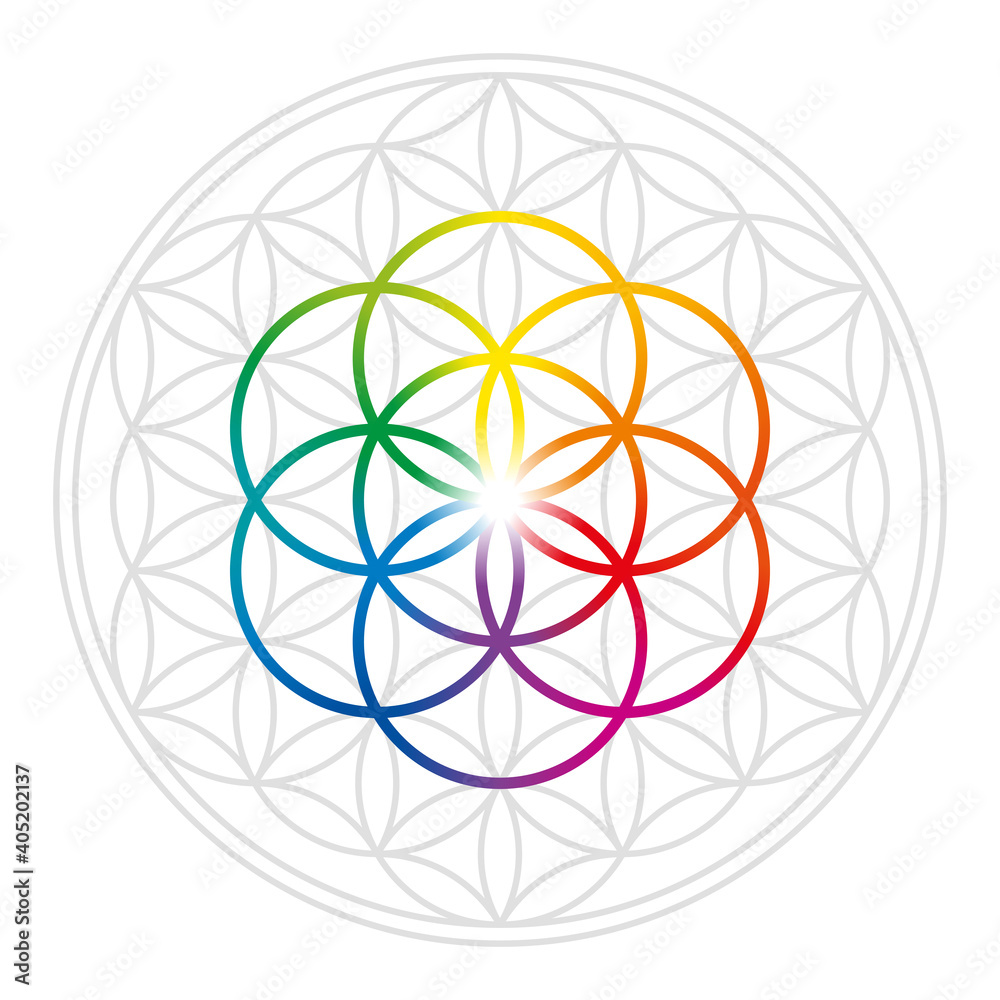Rainbow colored Seed of Life in gray Flower of Life. Geometric figures ...