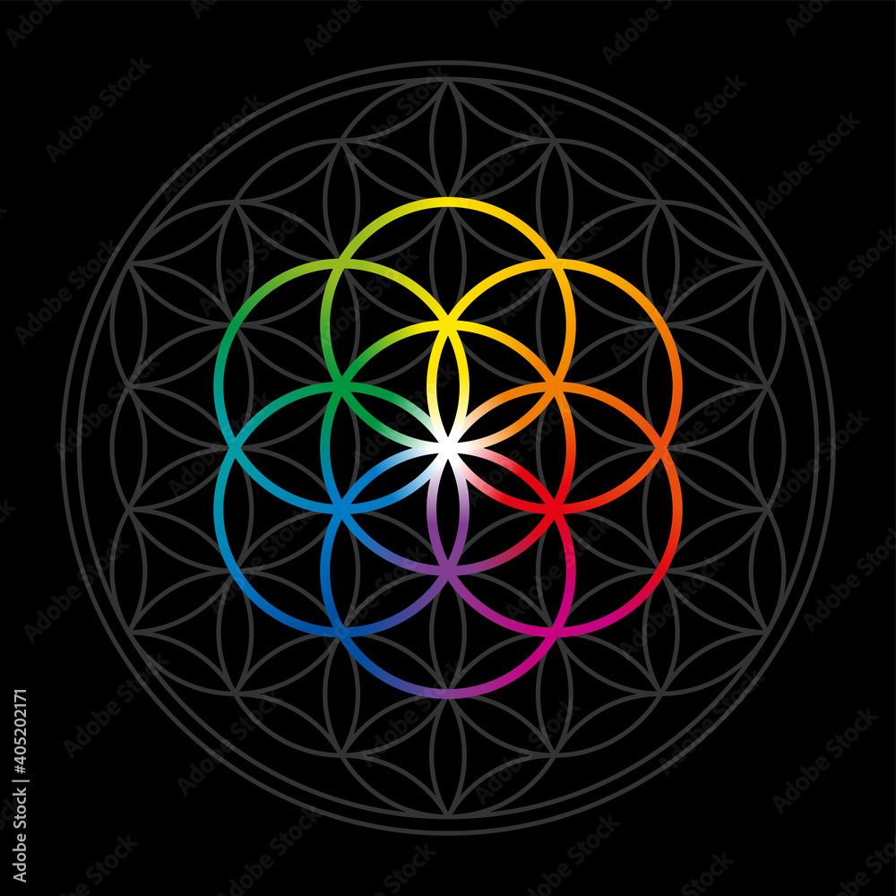 Rainbow colored Seed of Life in gray Flower of Life over black ...