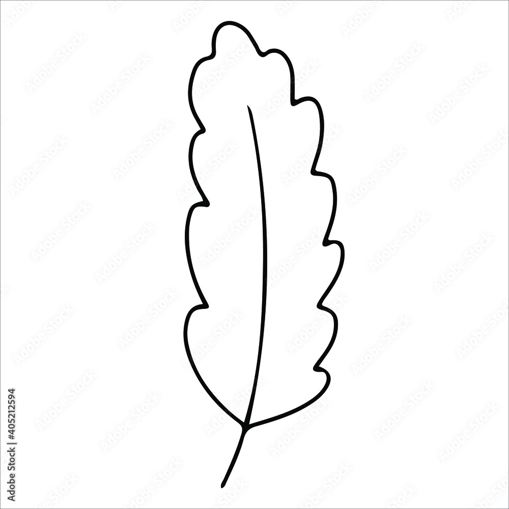 simple drawing of a twig illustration for coloring. Elemet from the ...