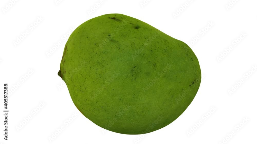 Realistic render of a rolling Philippine Green Mango (Katchamitha ...