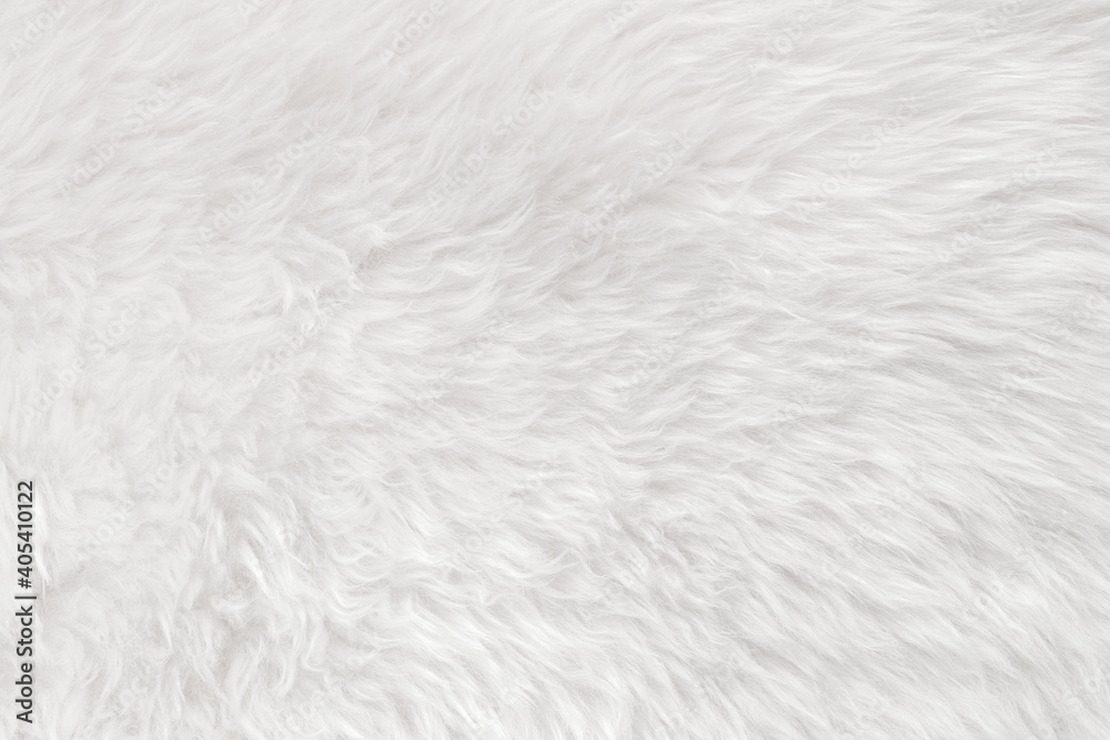 White clean wool with white top texture background. light natural sheep ...