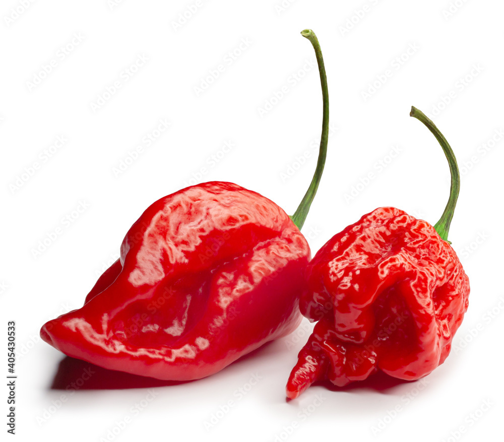 Carolina Reaper, the hottest chile pepper Capsicum chinense, whole ripe ...