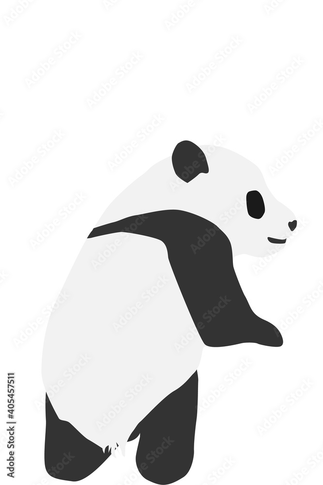 Standing panda isolated vector illustration material, profile, back ...