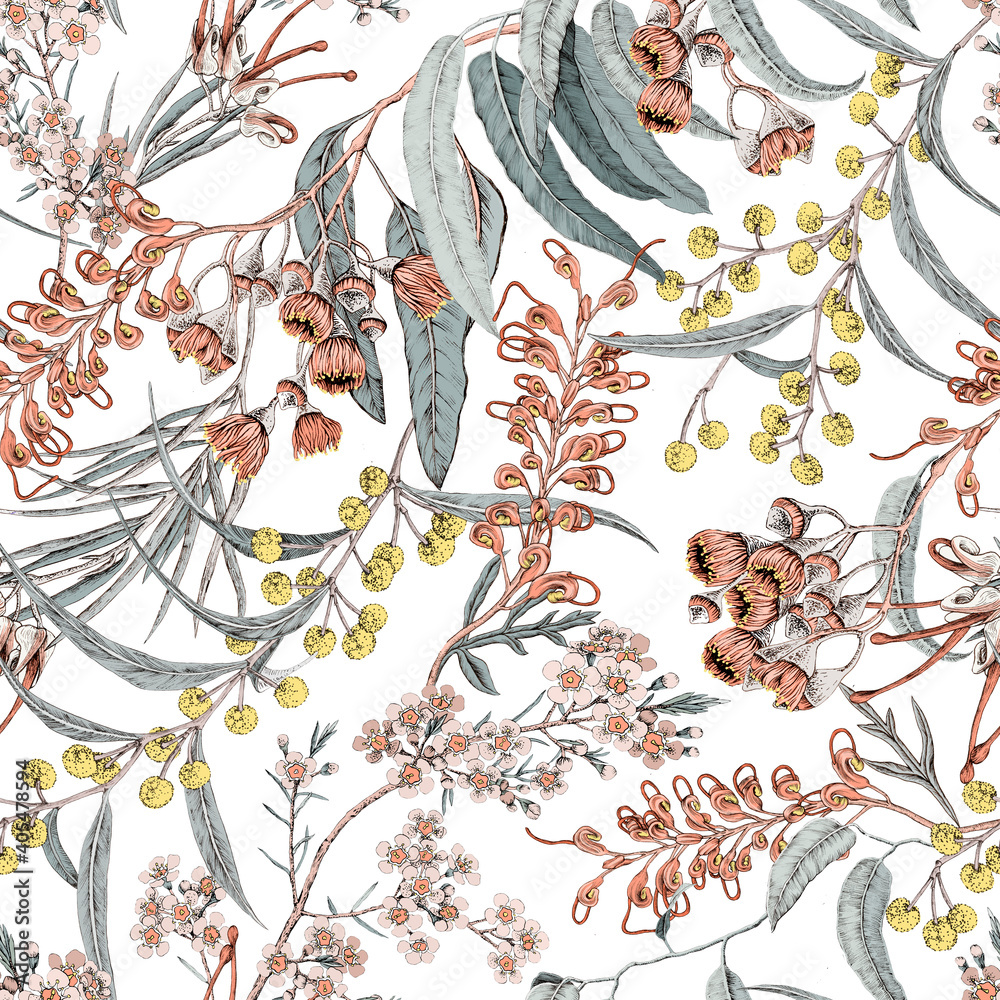 Australian native flowers. Seamless pattern black background. Botanical ...