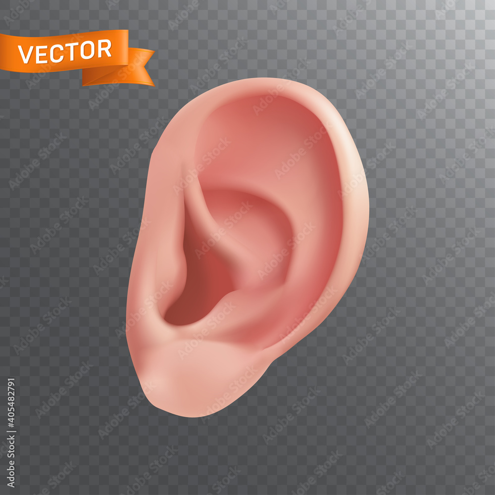 Human ear closeup 3d icon. Realistic vector illustration of body part ...