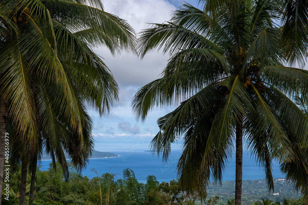 Sea view through coco palm trees, tropical nature photo. Tropical ...