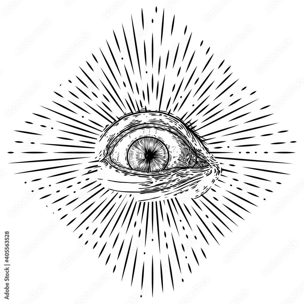 All seeing eye symbol element variation. Alchemy, religion ...