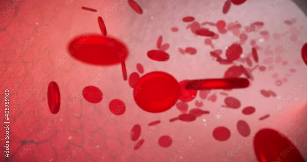 Blood movement in the vessel, 3D render capillaries, red blood cells ...