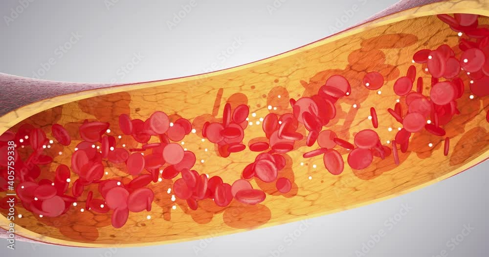 Blood movement in the vessel, 3D render capillaries, red blood cells ...