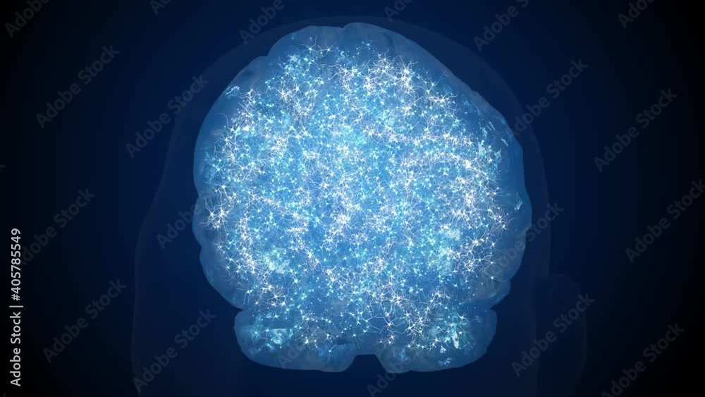 Inside the brain, neurons, the work of neurons, neuroplasticity, brain ...