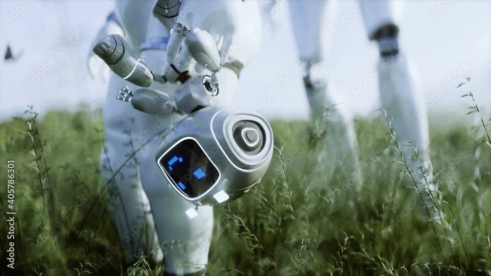 mother robot with her baby robot in the meadow on the background of a ...