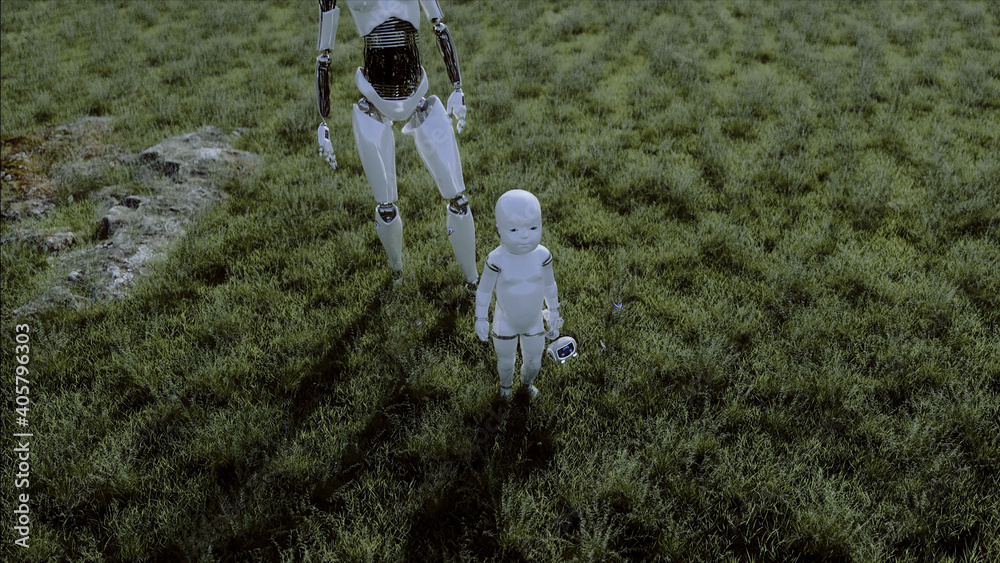 mother robot with her baby robot in the meadow on the background of a ...