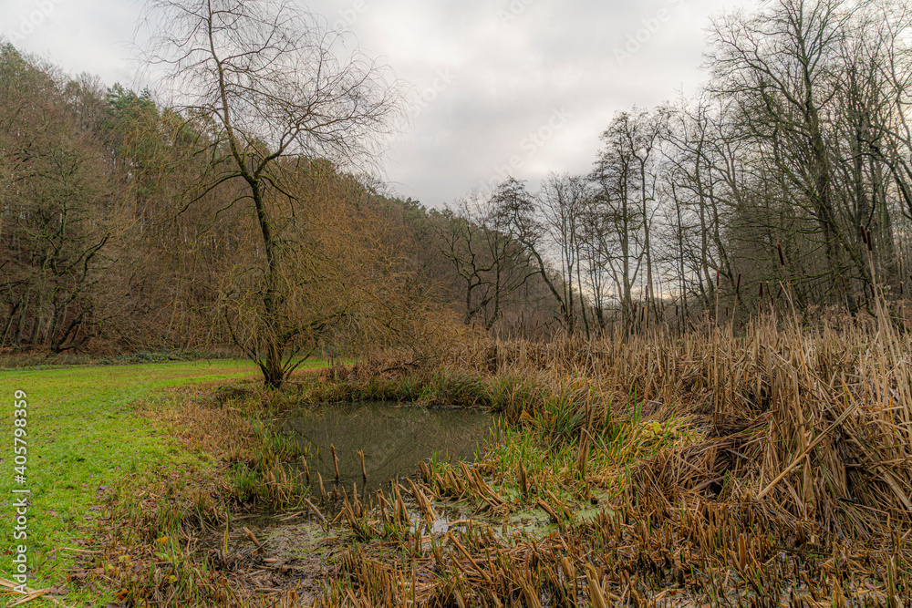 The biggest forest of Belgium Zoniënwoud, Zoniënforest. Landscape and ...
