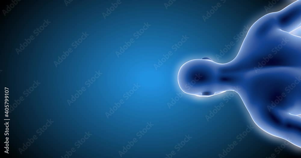 3D human body scan, body scanner, medical screen, tomography, medical ...