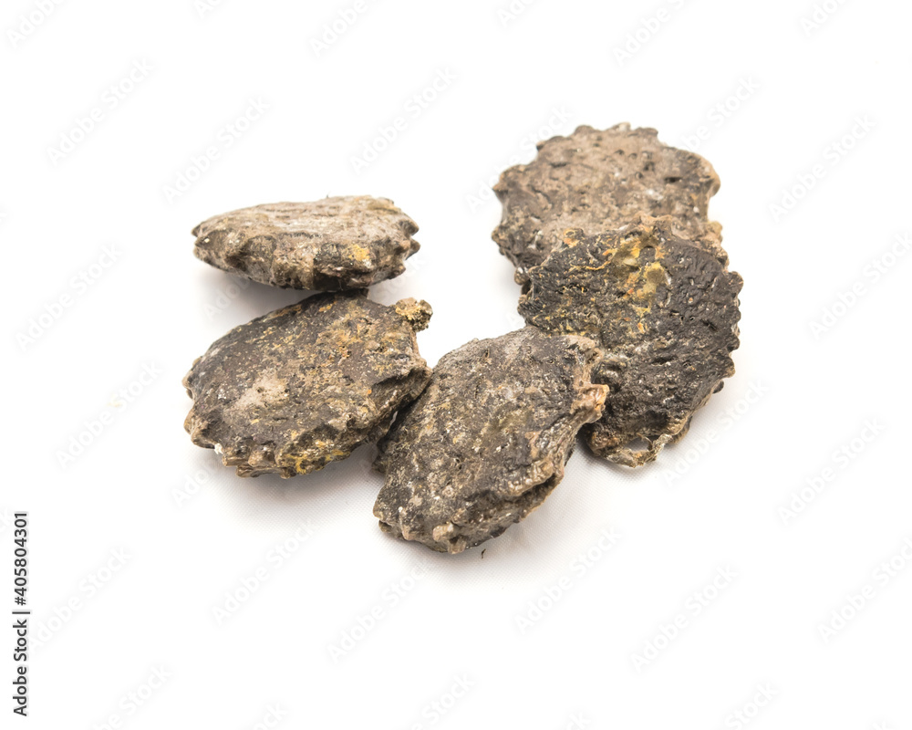 Five gac seeds (momordica cochinchinensis) isolated on white background ...