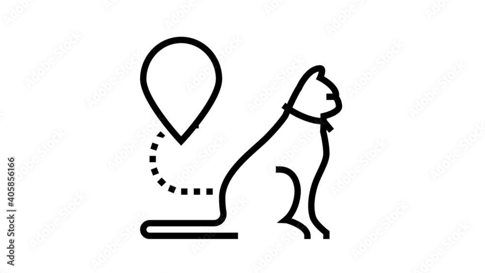 cat location information animated black icon. cat location information ...