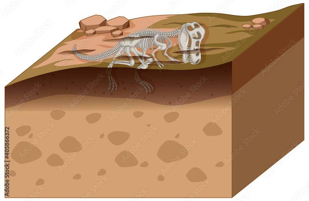 Soil layers with dinosaur fossil Stock Vector | Adobe Stock
