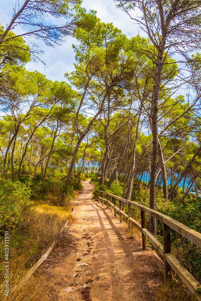 Natural walking path in the forest of Parc natural de Mondragó Cala ...