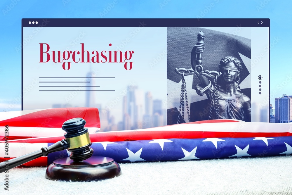 Bugchasing. Judge gavel and america flag in front of New York Skyline. Web Browser interface ...