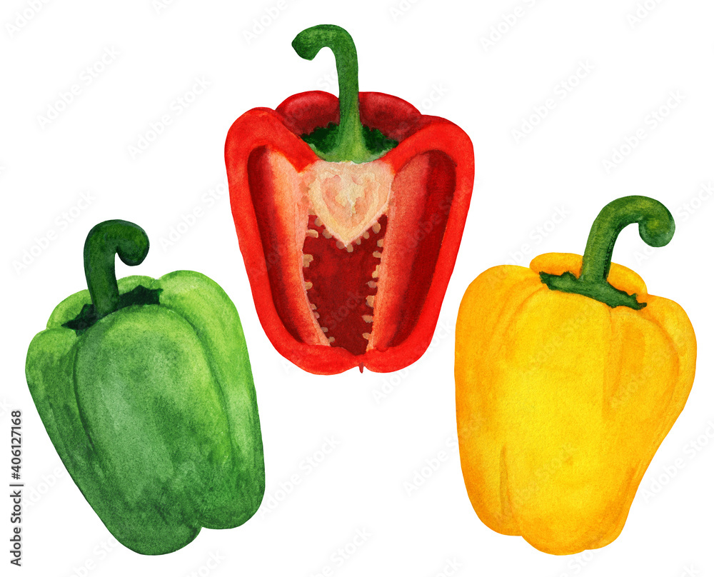 Watercolor bell pepper set. Red, green and yellow whole and half ...