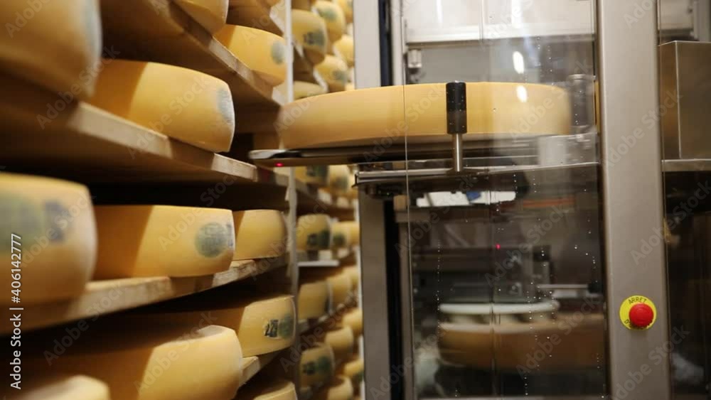 Robot qui nettoie le comté qui est en affinage dans une cave ...