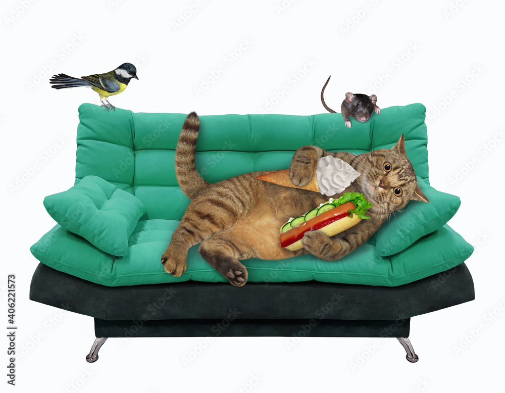 A beige lazy cat is lying on a green divan and eating a hot dog and a ...