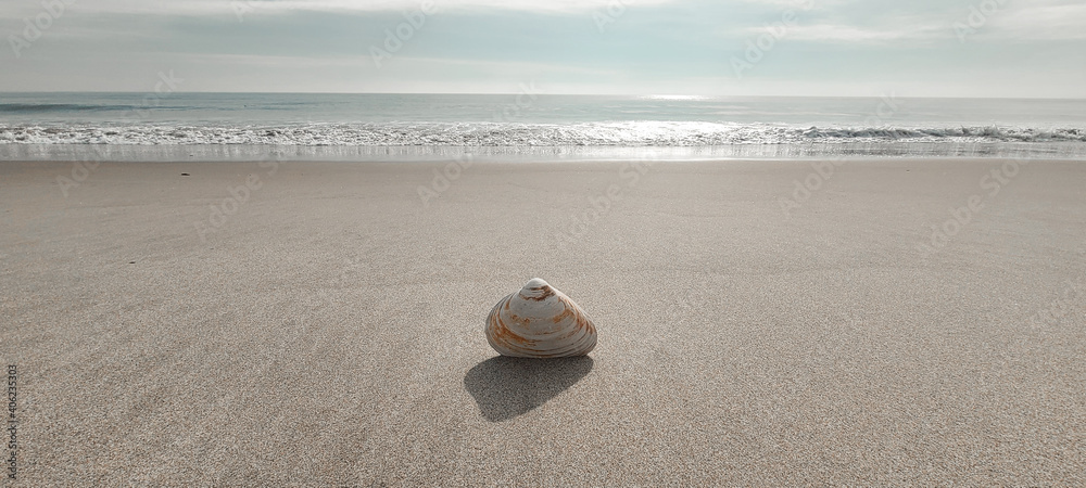 Shell on the beach in vintage style. Sand with copy space. Rockaway ...