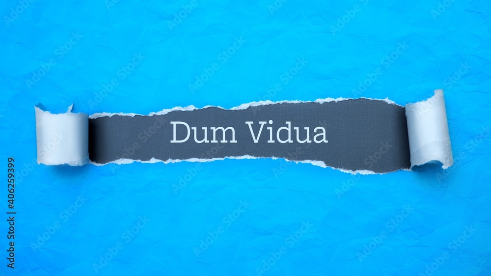 Dum Vidua. Blue torn paper banner with text label. Word in gray hole ...