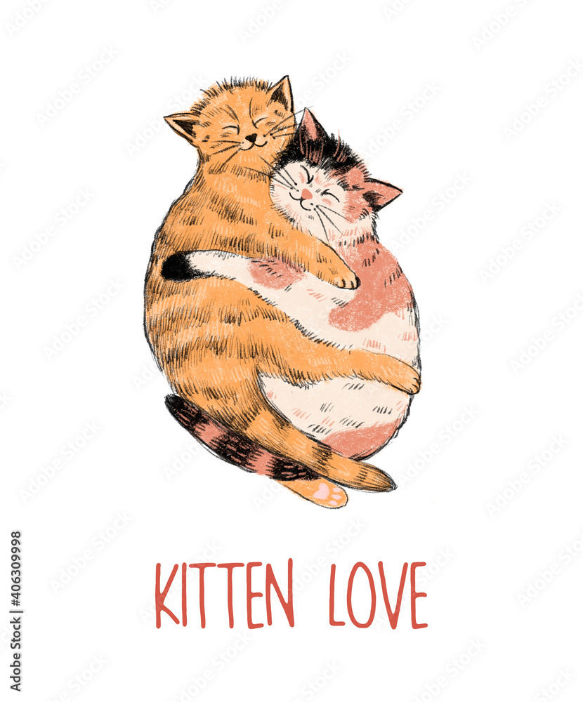 Cute Cats hugging. Hand Drawn illustration. Isolated on White ...