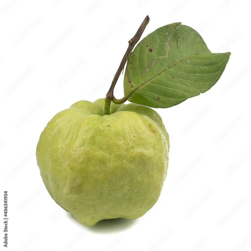 Guava fruit, Guayaba, Goiaba, (Psidium guajava Linn) tropical fruit ...