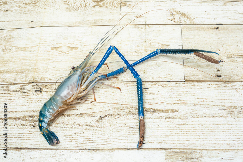 Fresh asiatic river prawns, claws, tiger prawns, isolated on white ...