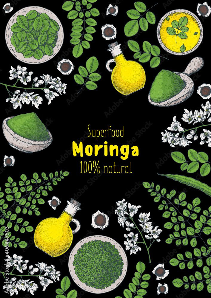 Moringa hand drawn illustration. Organic healthy food. Moringa leaves ...