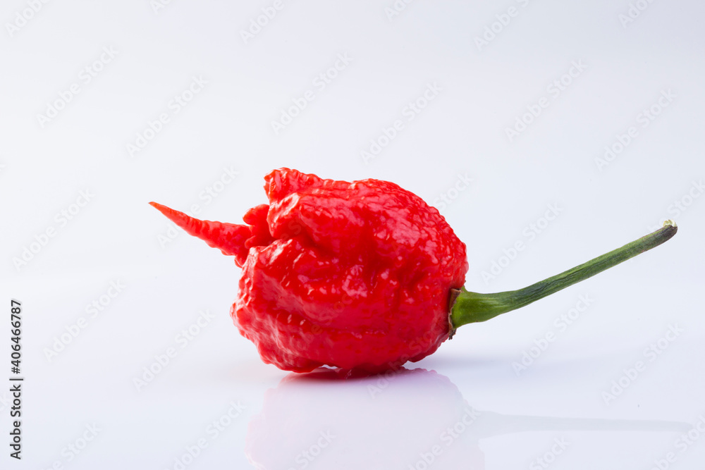 Carolina Reaper extra hot chilli paper on white background Stock Photo ...