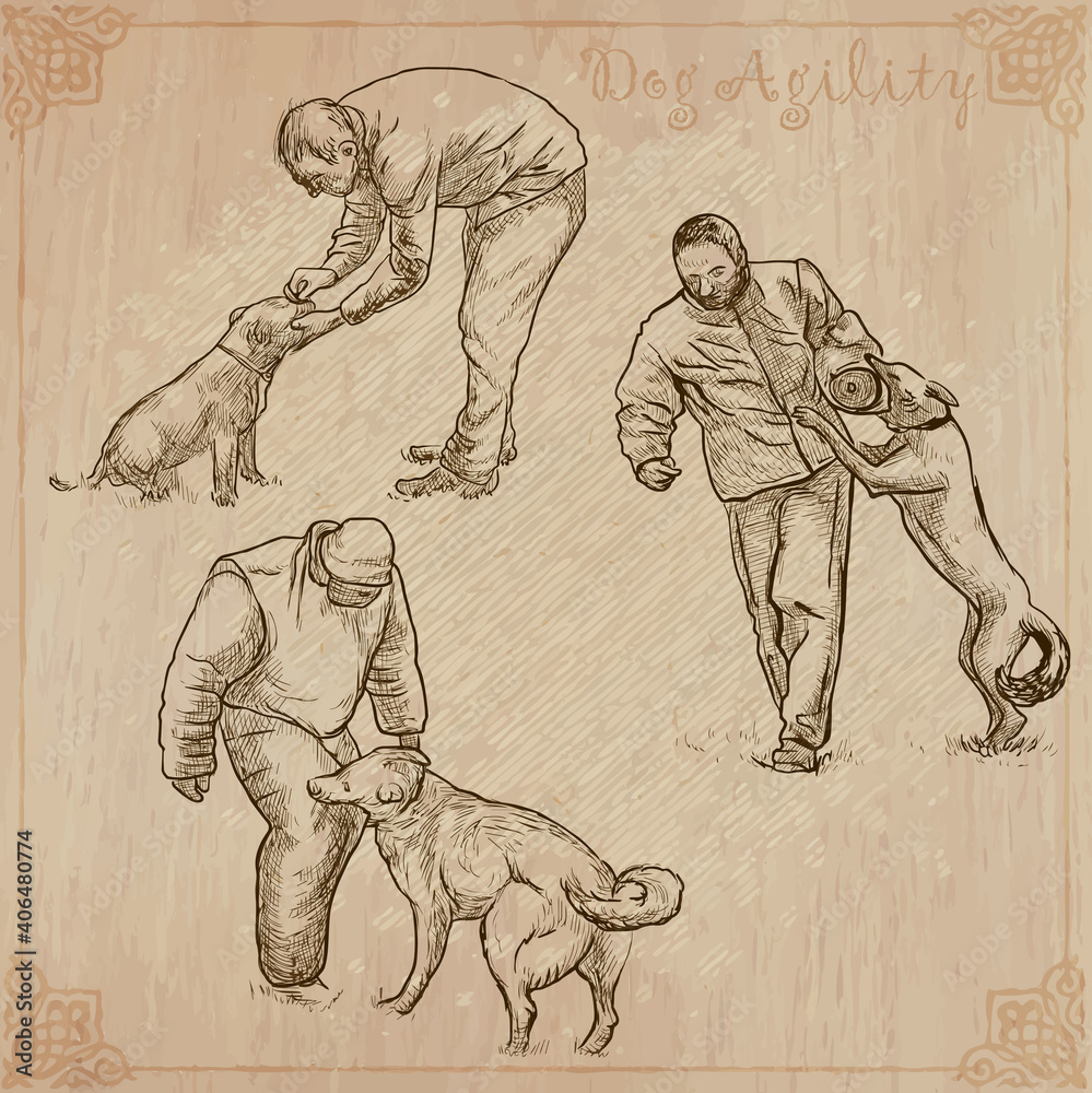 Dog training. Collection. Pack of freehand vector sketches. Line art ...