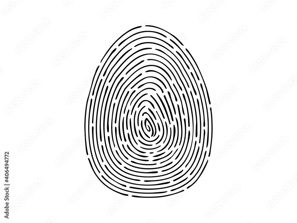 Fingerprint on white background. Contour curved lines of identification ...