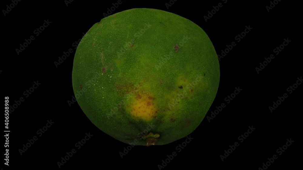 Realistic render of a rolling Lime on transparent background (with ...