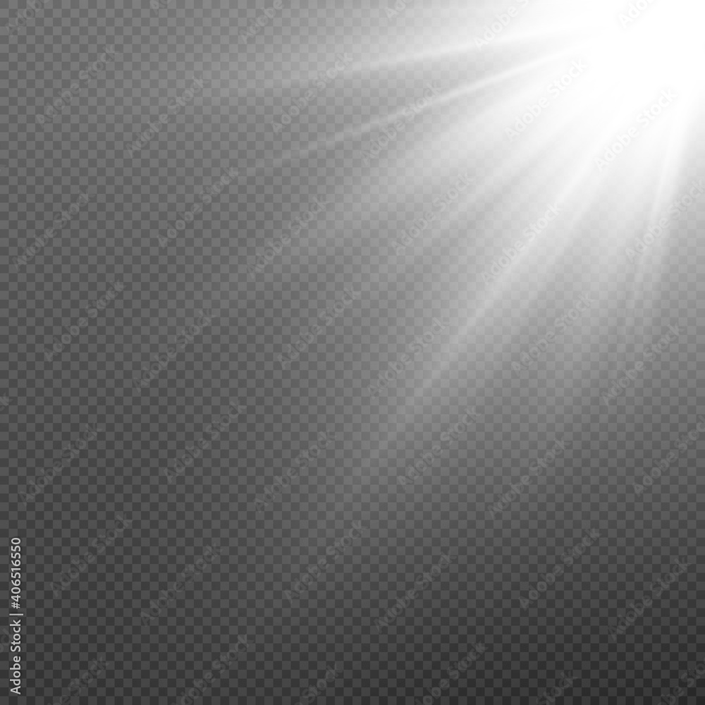 Vector Rays Download