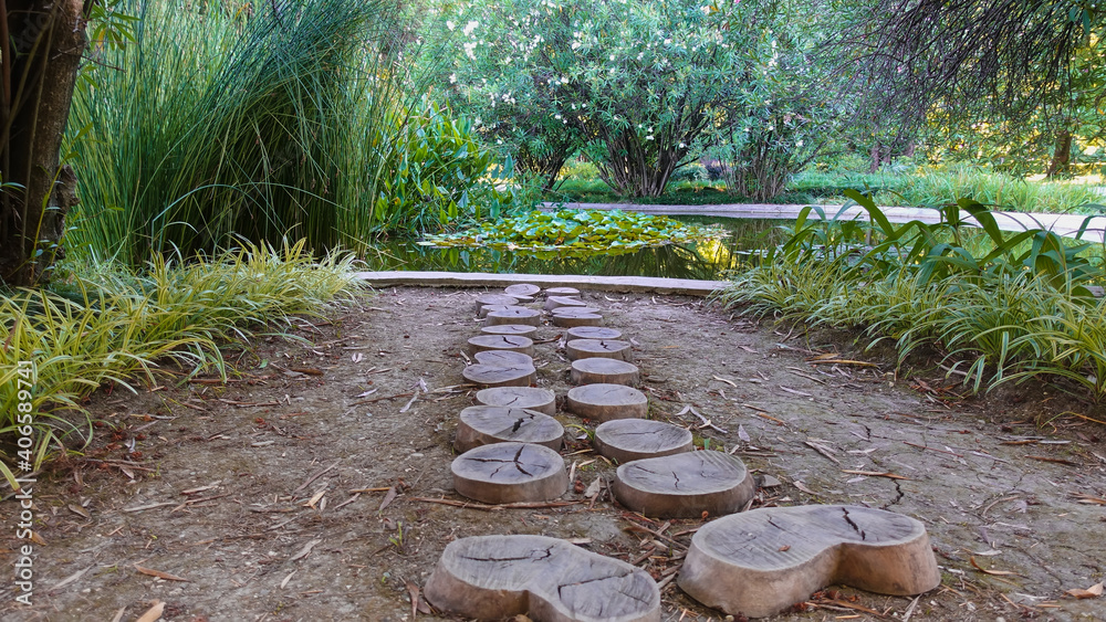 Park design. The path leading to the pond is paved with tree stumps ...