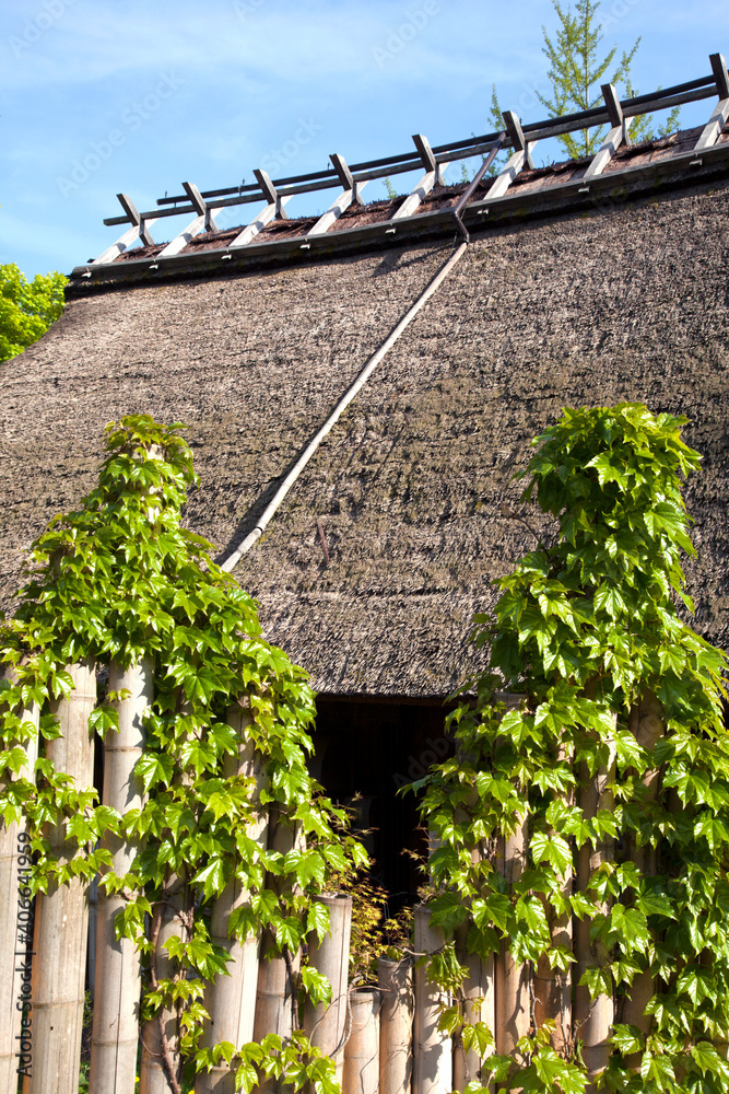 Thatched roof buildings in the Japanese traditional village of Saiko ...