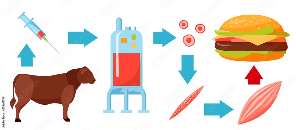 Cultured lab-grown meat infographics. Synthetic in vitro food concept ...