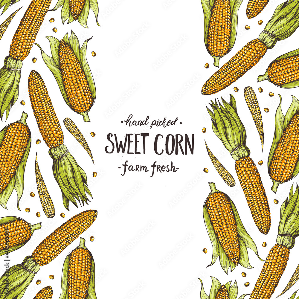 Corn Background Design