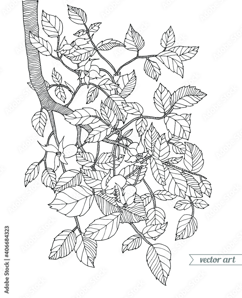 Zentangle Coloring Pages Tree Trunks