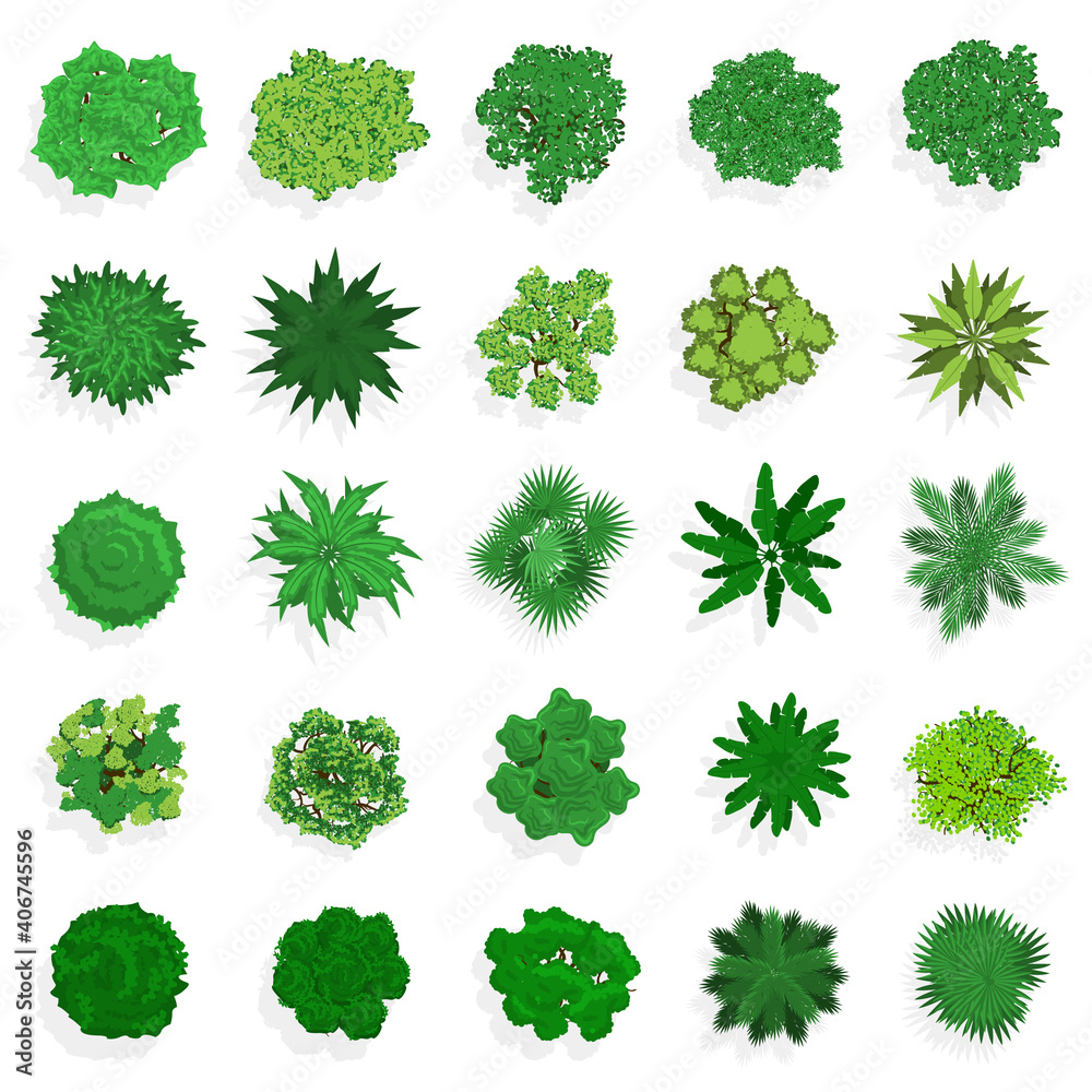 Trees top view. Green plants, bushes, shrubs and trees for landscape or ...