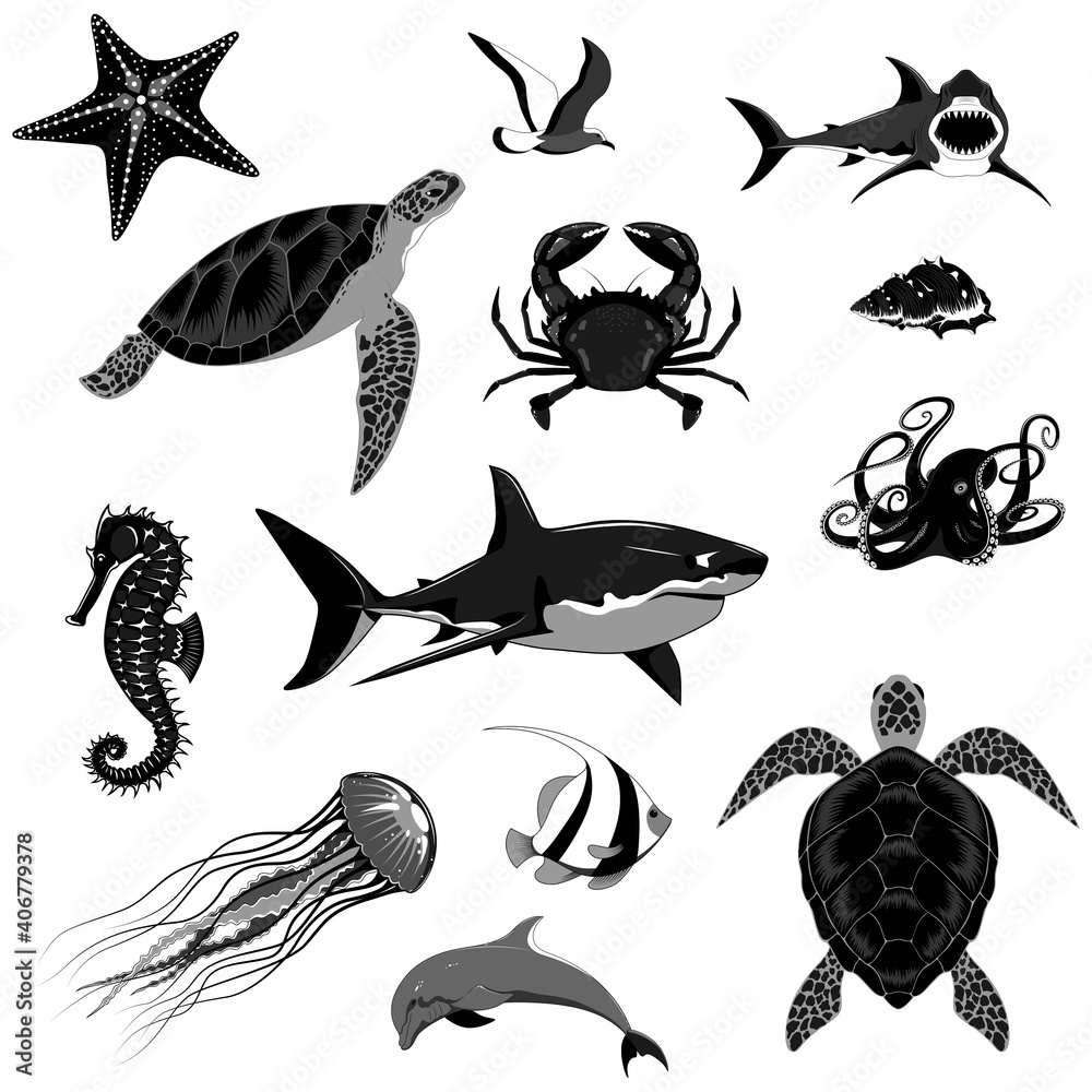 Set of sea animals. Vector monochrome image of sharks, turtles, dolphin ...