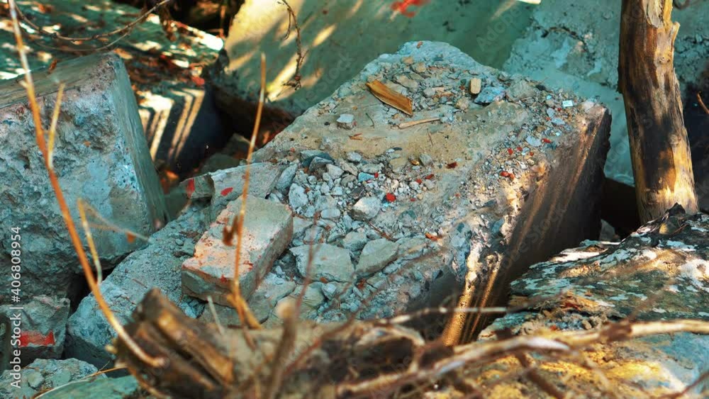 Armature in the forest. The concrete blocks in the landfill pollute the ...