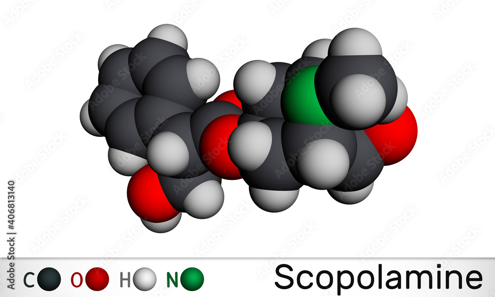 Hyoscine, scopolamine. L-Scopolamine molecule. It is natural plant ...